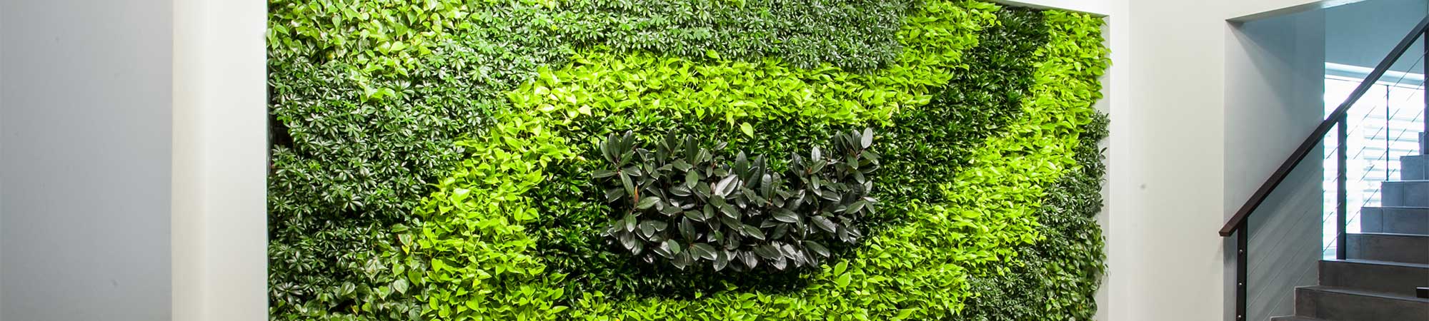 Contact Us - JN Fund Managers